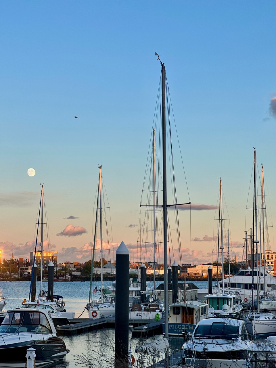 Neighborhood Voice Alliance Inc.